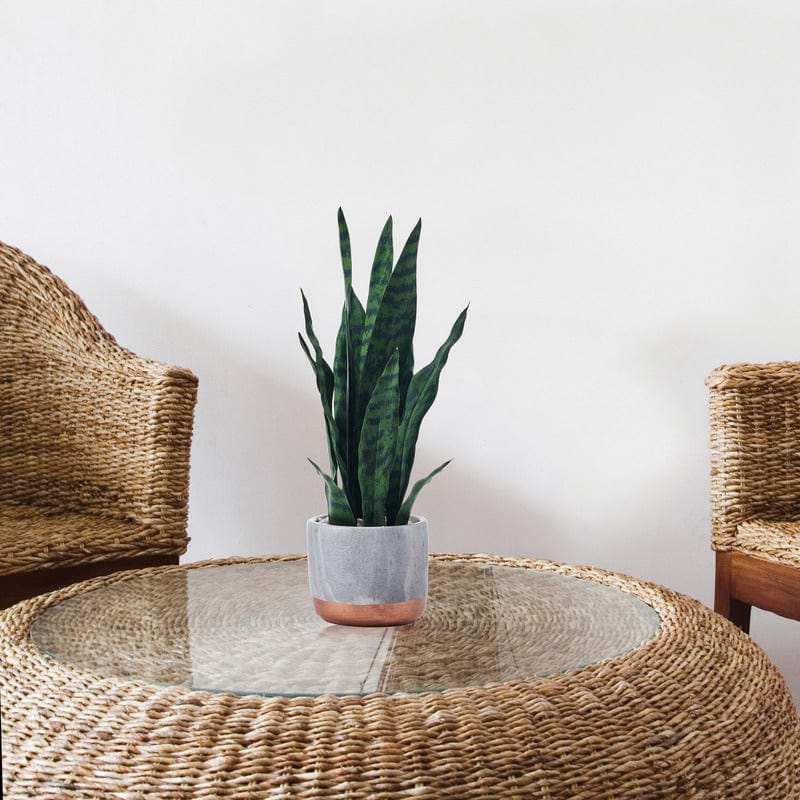 18 Inch Faux Snake Plant in Pot – Mikasa