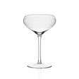 Cheers® Set of 4 Coupe Cocktail Glasses